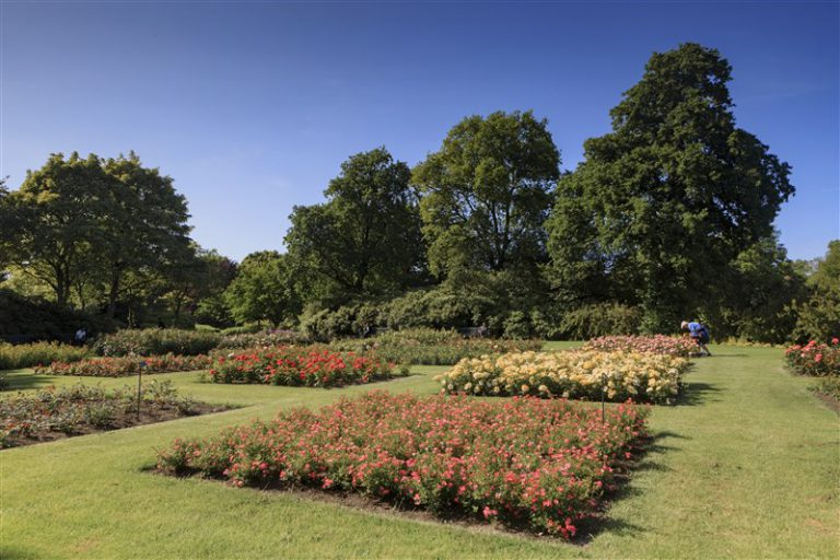 Westbroekpark - Den Haag Centraal